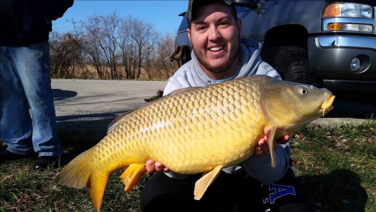 Michigan Carp Angler's Group Promo - YouTube