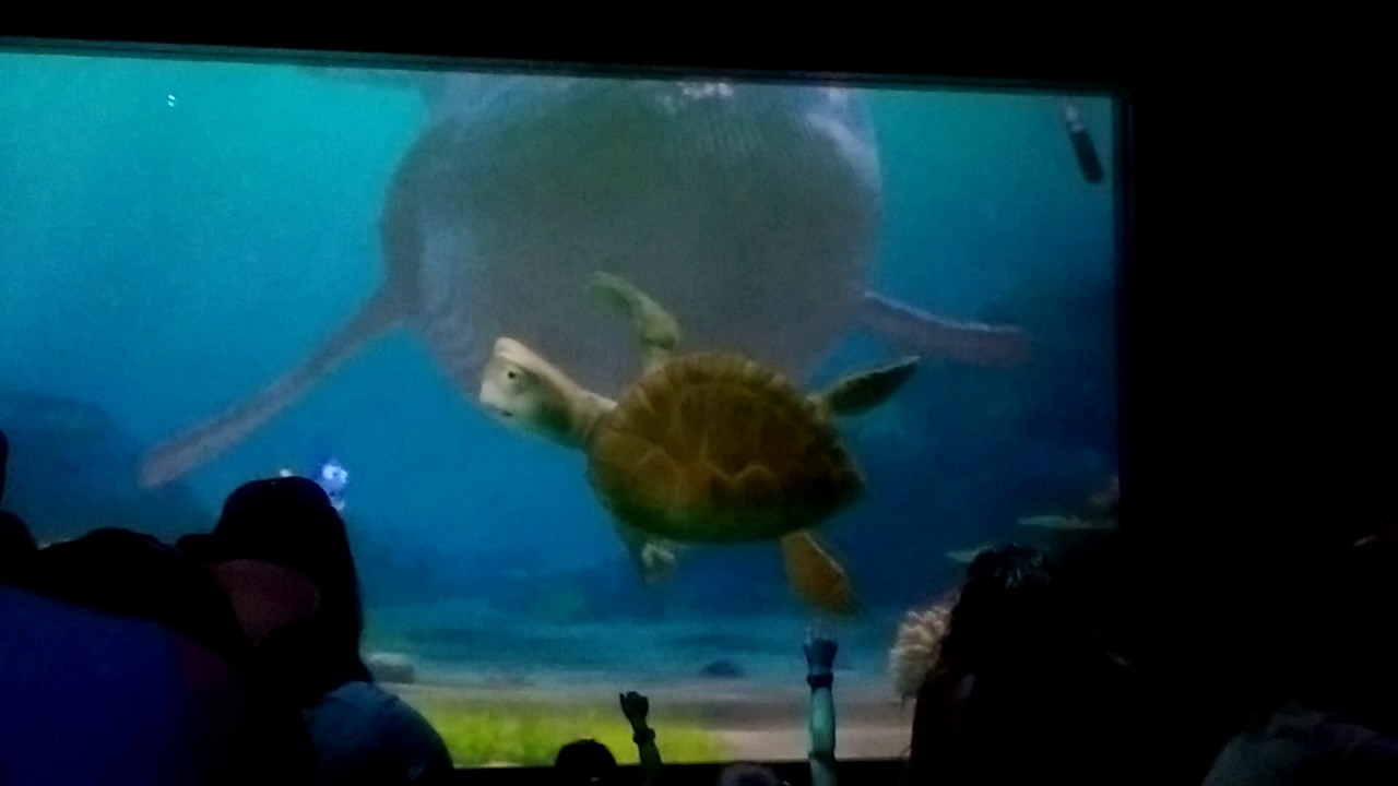 Learn To Speak Whale with Dory!! - YouTube