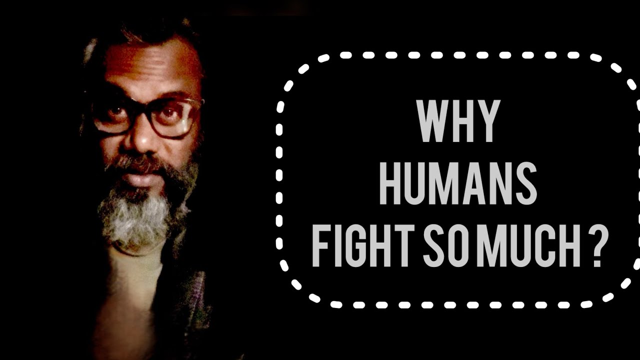 Why humans fight so much ? - YouTube