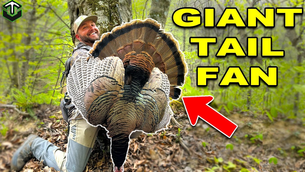 THE MOST INTENSE TURKEY HUNT!! (Giant Tail Fan on a BIG BIRD) - YouTube