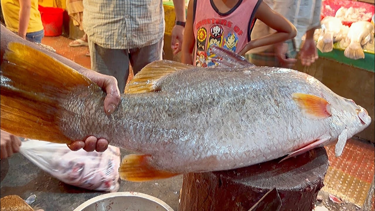 Incredible Giant Bhetki Fish Cutting Live In Fish Market | Fish Cutting ...