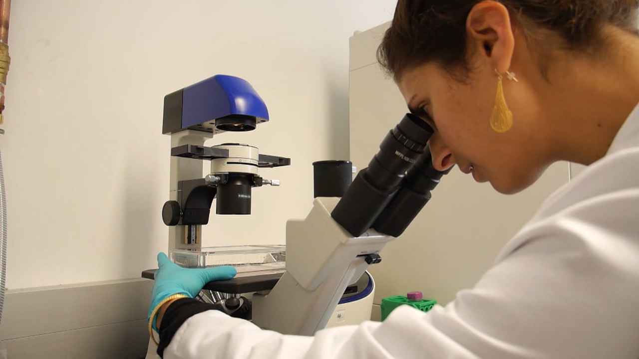 Nina Tandon ‘12 on Strategic Scaling in Biotech - YouTube