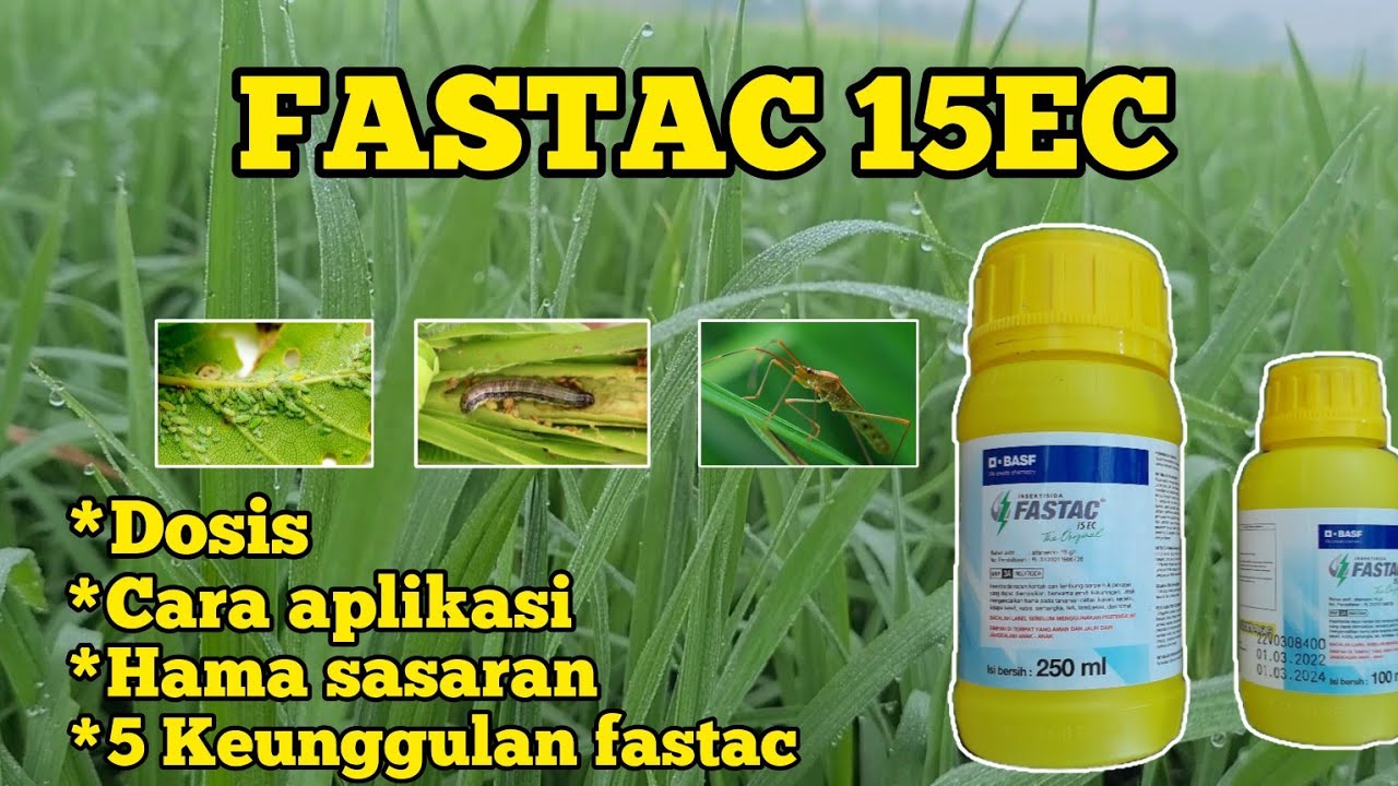 DOSIS FASTAC 15EC PER TANGKI DAN CARA PENGGUNAAN - YouTube