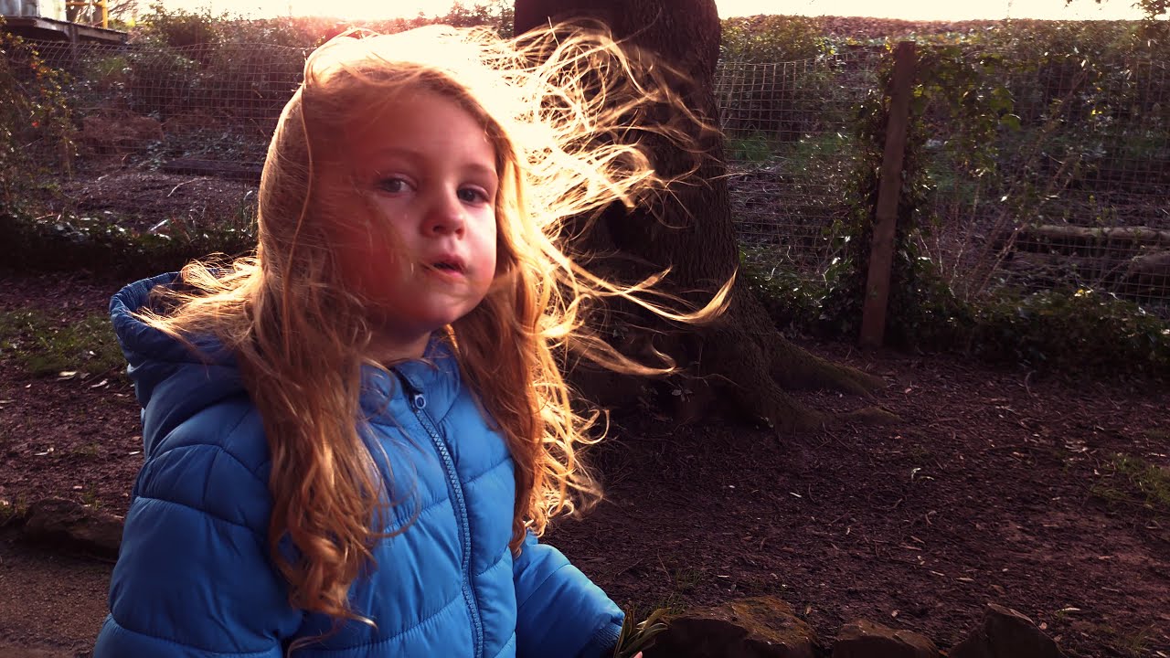 FREE LUT for cinematic Golden hour color grading - YouTube