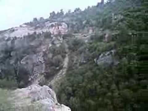 Hacıkırı Çiçek Sevgisi