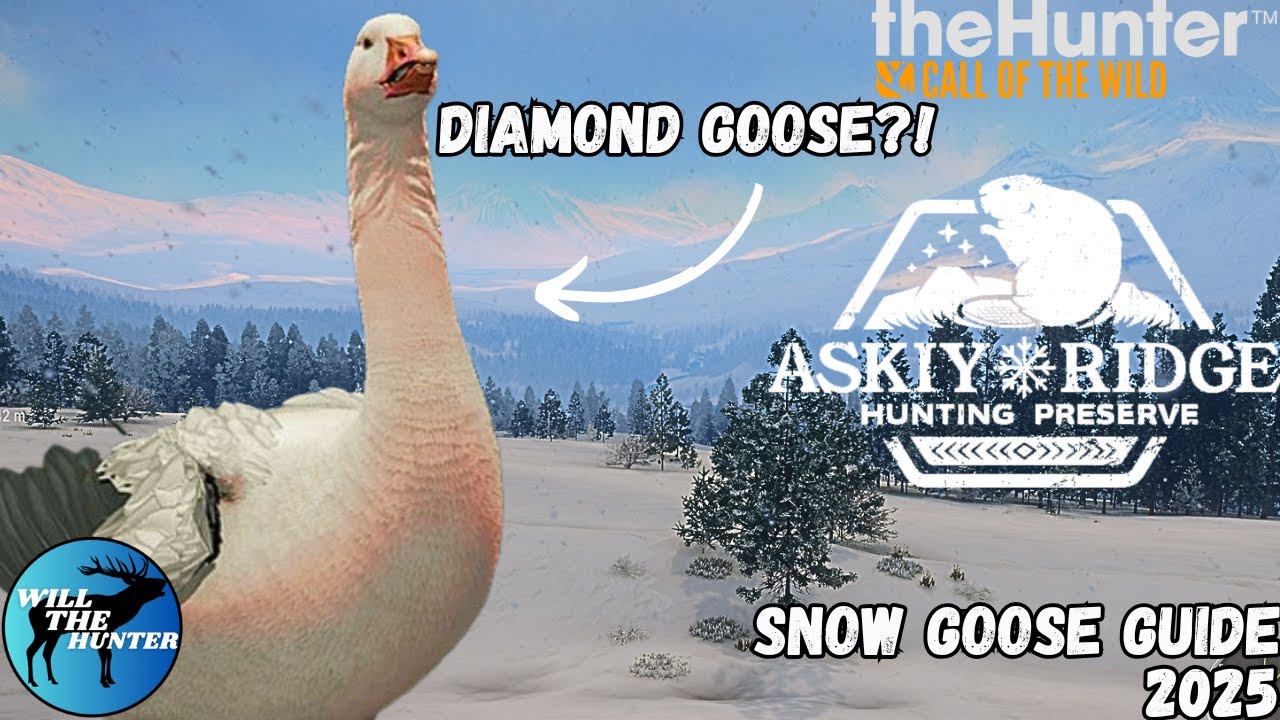 First Diamond Snow Goose?! Askiy Ridge Snow Goose Guide | TheHunter ...
