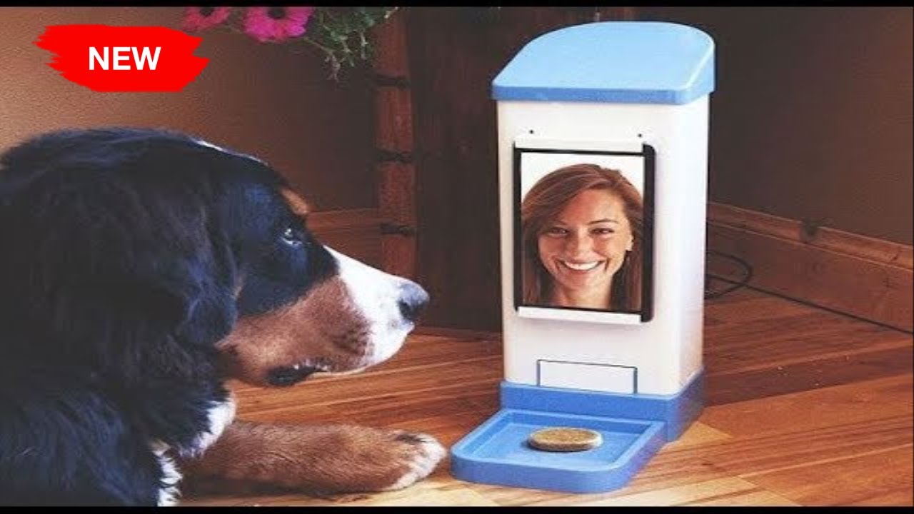 5 INCREDIBLE INVENTIONS FOR PETS | | Interesting Stories - YouTube