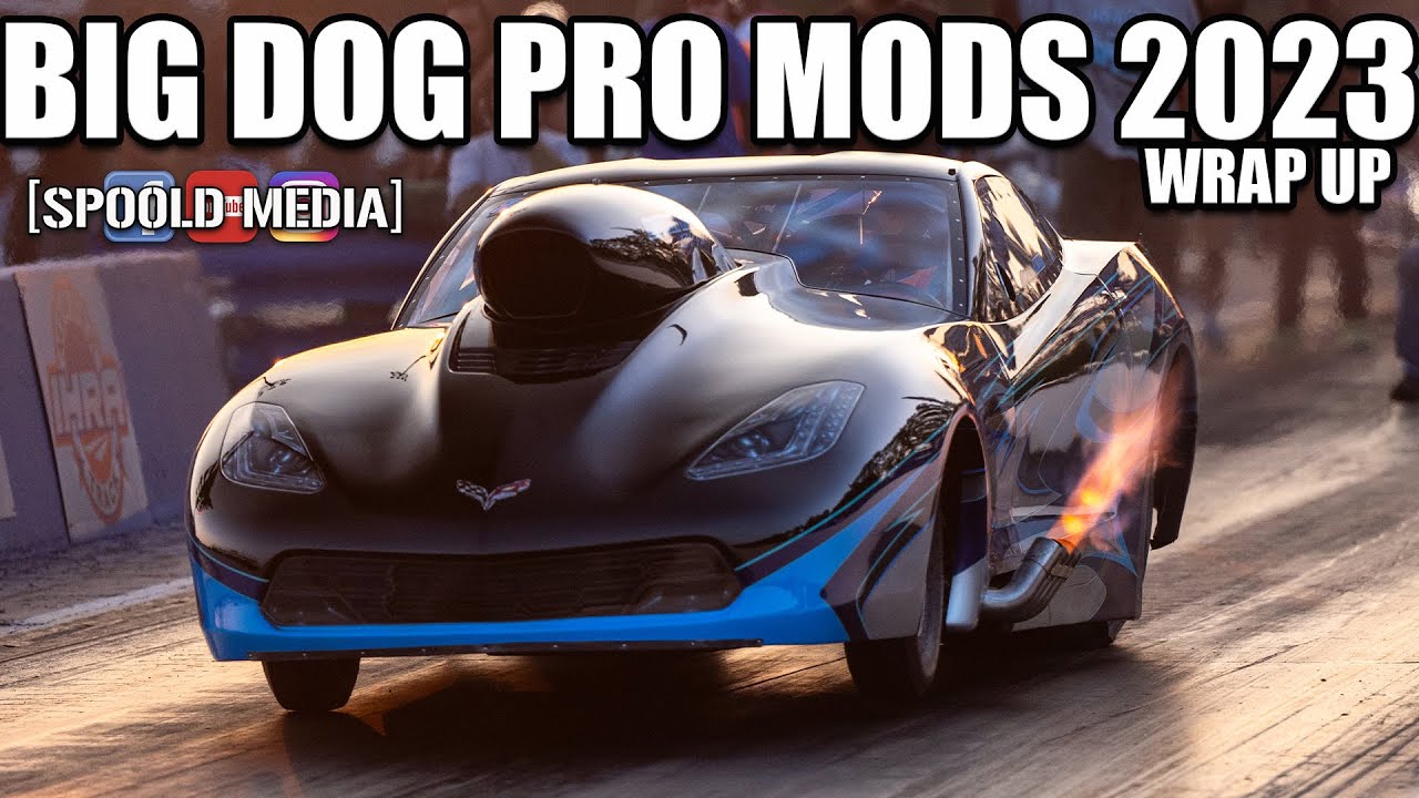 BIG DOG PRO MOD WRAP UP 2023!!!! - YouTube