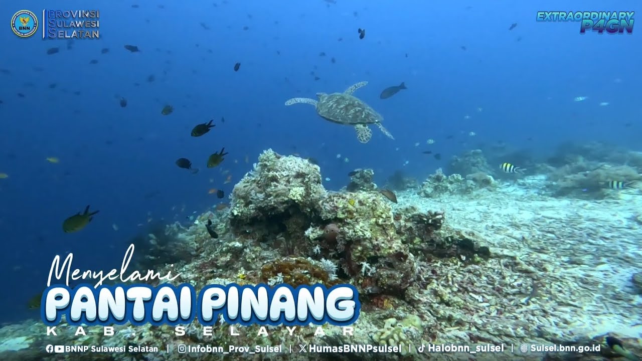 Menyelami Pantai Pinang Kepulauan Selayar - YouTube