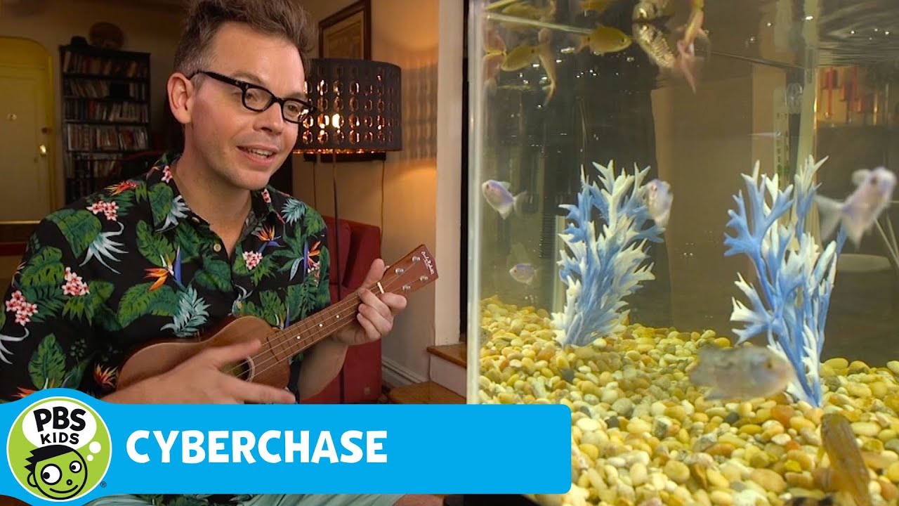 CYBERCHASE | A Murky Mystery in Mermaidos: For Real | PBS KIDS - YouTube