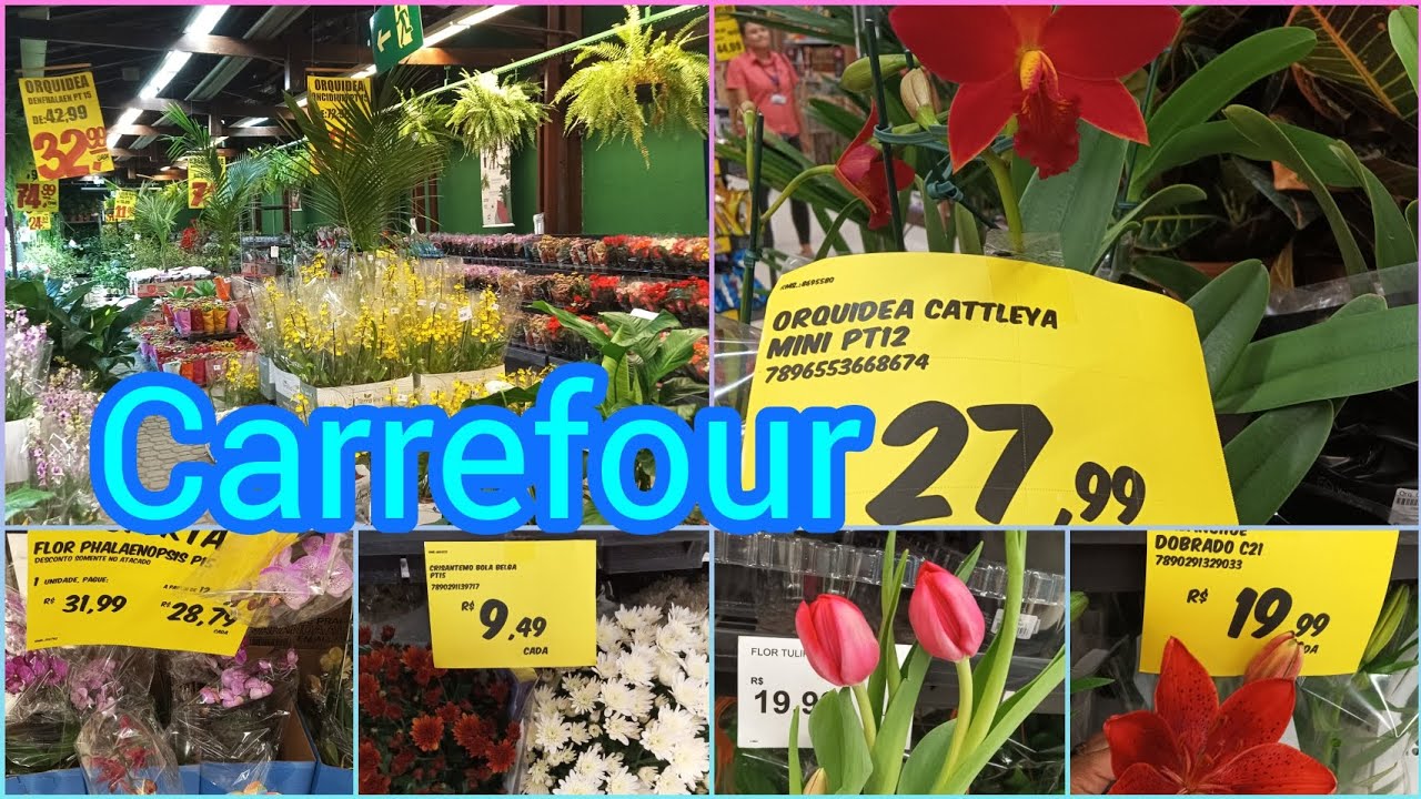 PLANTAS EM PROMOÇÃO/ CARREFOUR BARRA DA TIJUCA - YouTube
