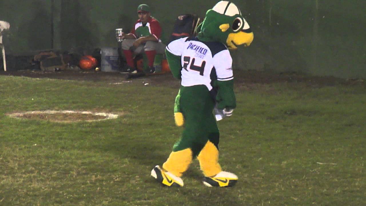 PEPE EL PERICO - YouTube