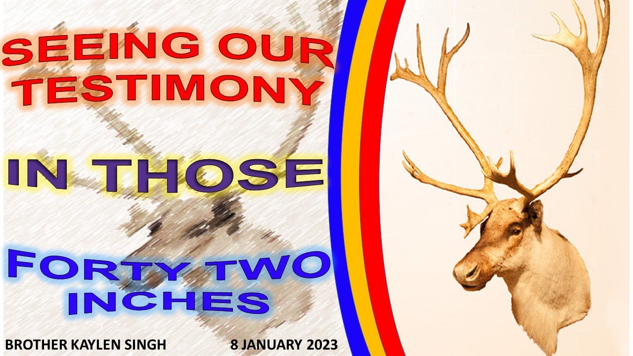 Seeing Our Testimony In Those Forty Two Inches (New Year Message - 2023 ...