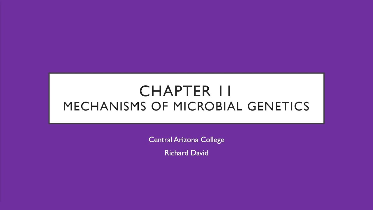 BIO205 - Chapter 11 - Mechanisms of Microbial Genetics - YouTube