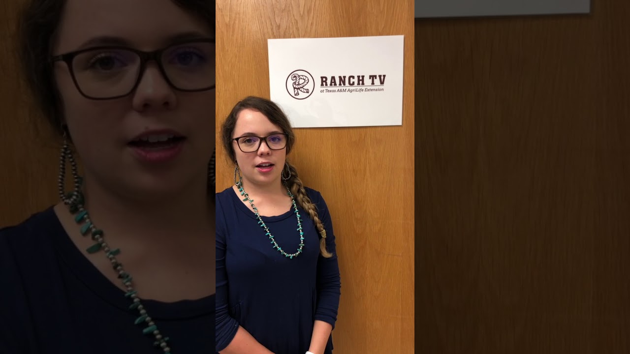 Morgan Mathis- What Sustainability Means to Me - YouTube