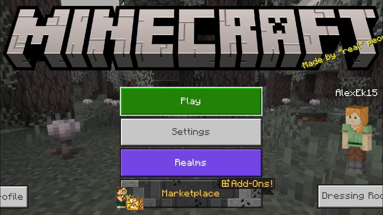 Minecraft Survival Challenge - YouTube