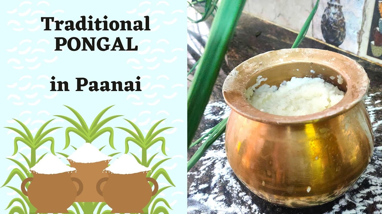 2 minute Pongal in Pot | Paanai Pongal recipe in tamil | Pongal ...