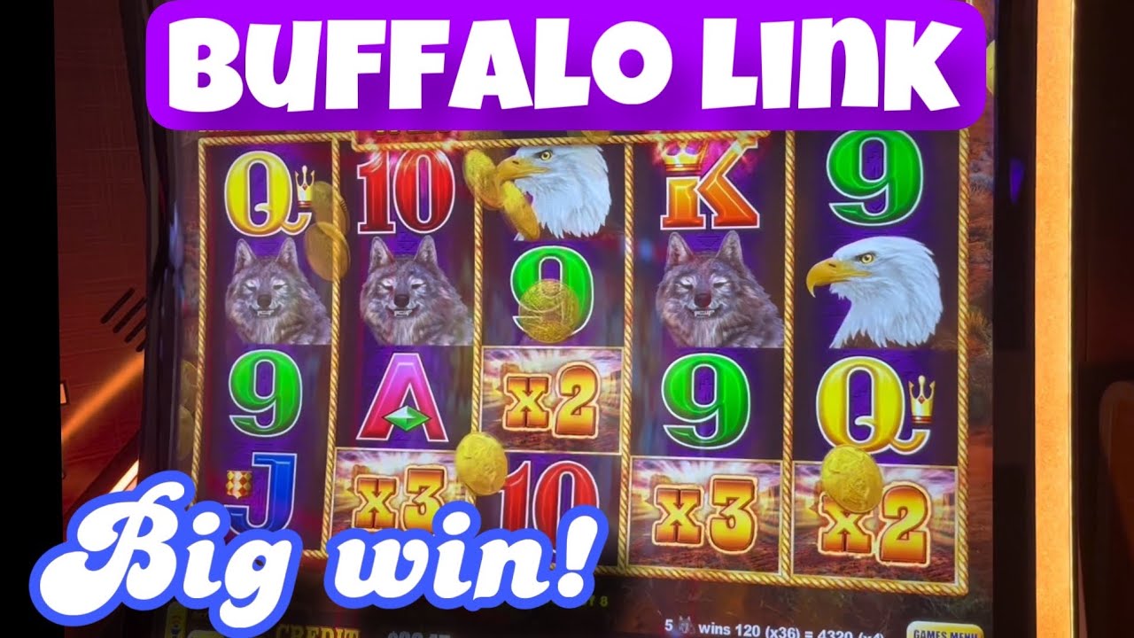 BUFFALO LINK BIG WIN! 🤑GRANDMA LUCKY IS A LOW ROLL QUEEN!👸🏻#slots # ...