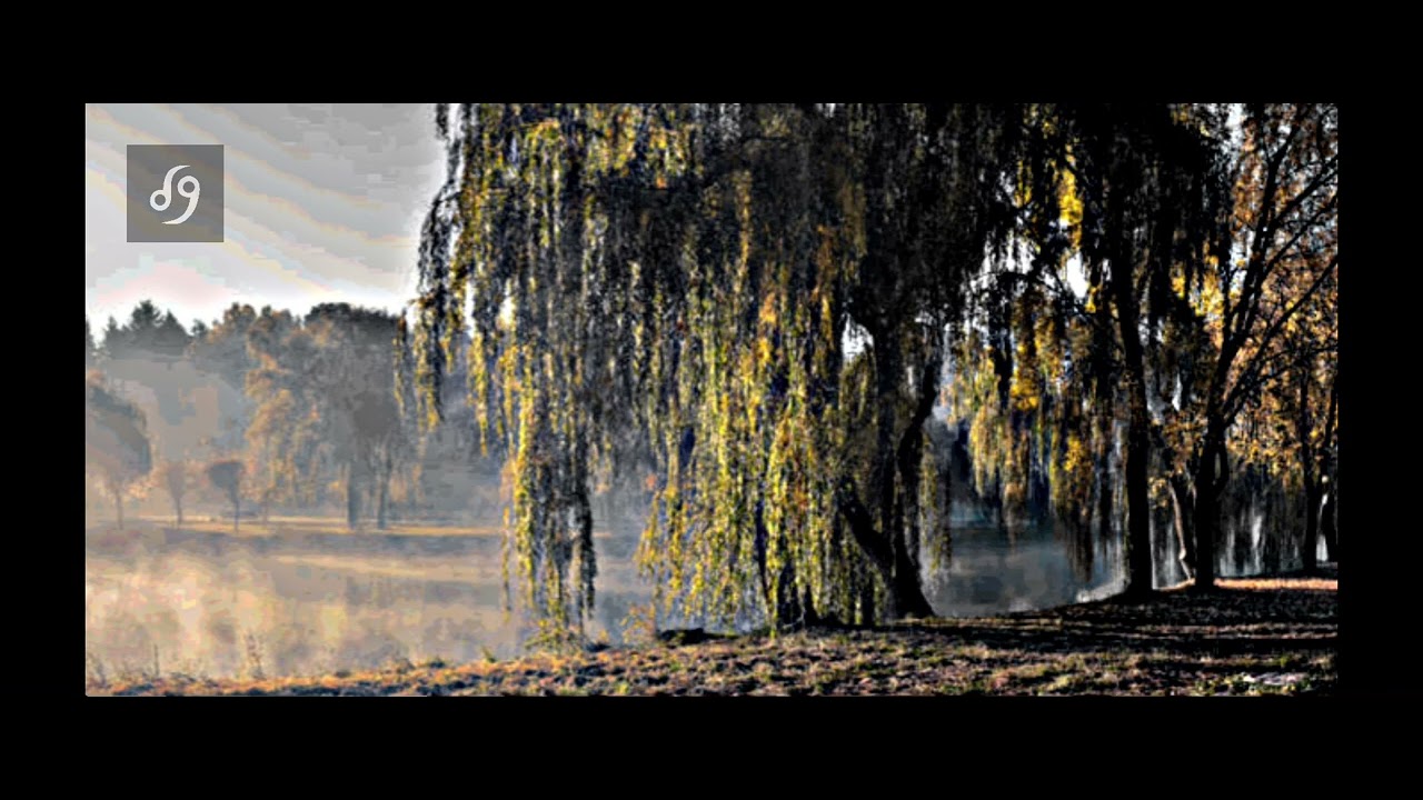 Spirit Of The Willow Tree (Audio) || Delta Ghosts - YouTube