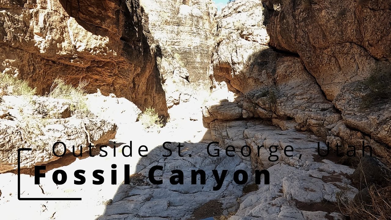 Hiking Fossil Canyon Outside St. George Utah Ocean Fossils in Bedrock ...