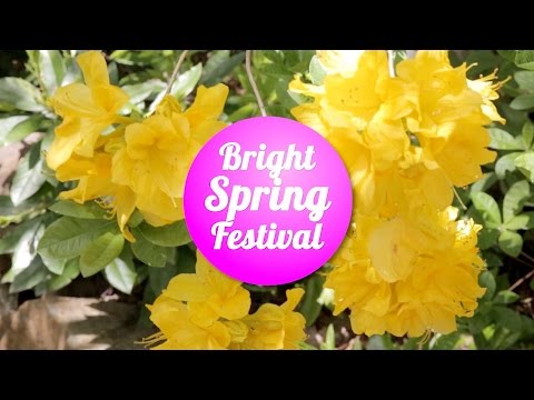 Bright Spring Festival - YouTube