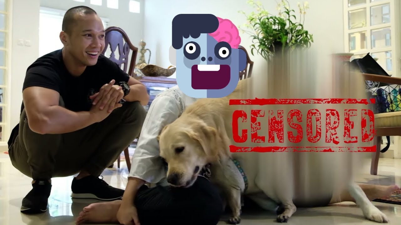 SNOWEE KEDATANGAN TAMU - SIAPAKAH DIA?? | SNOWEE THE GOLDEN - YouTube