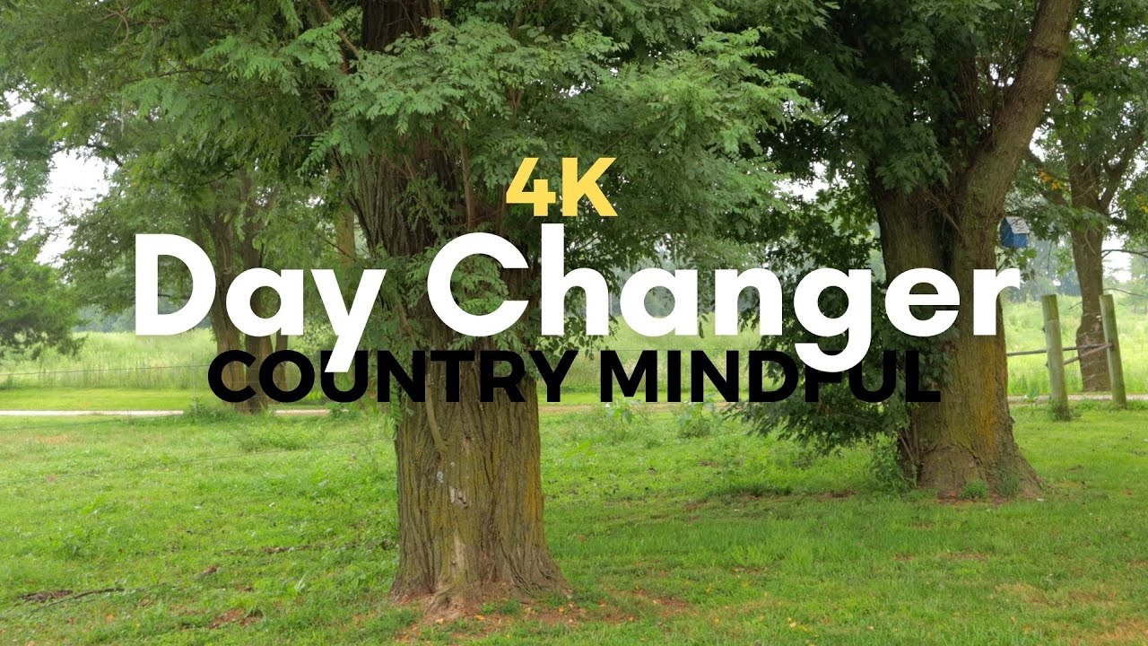 Early Morning Farm Sounds 🐦 4K Birds Dawn Chorus Farm Ambience Relaxing ...