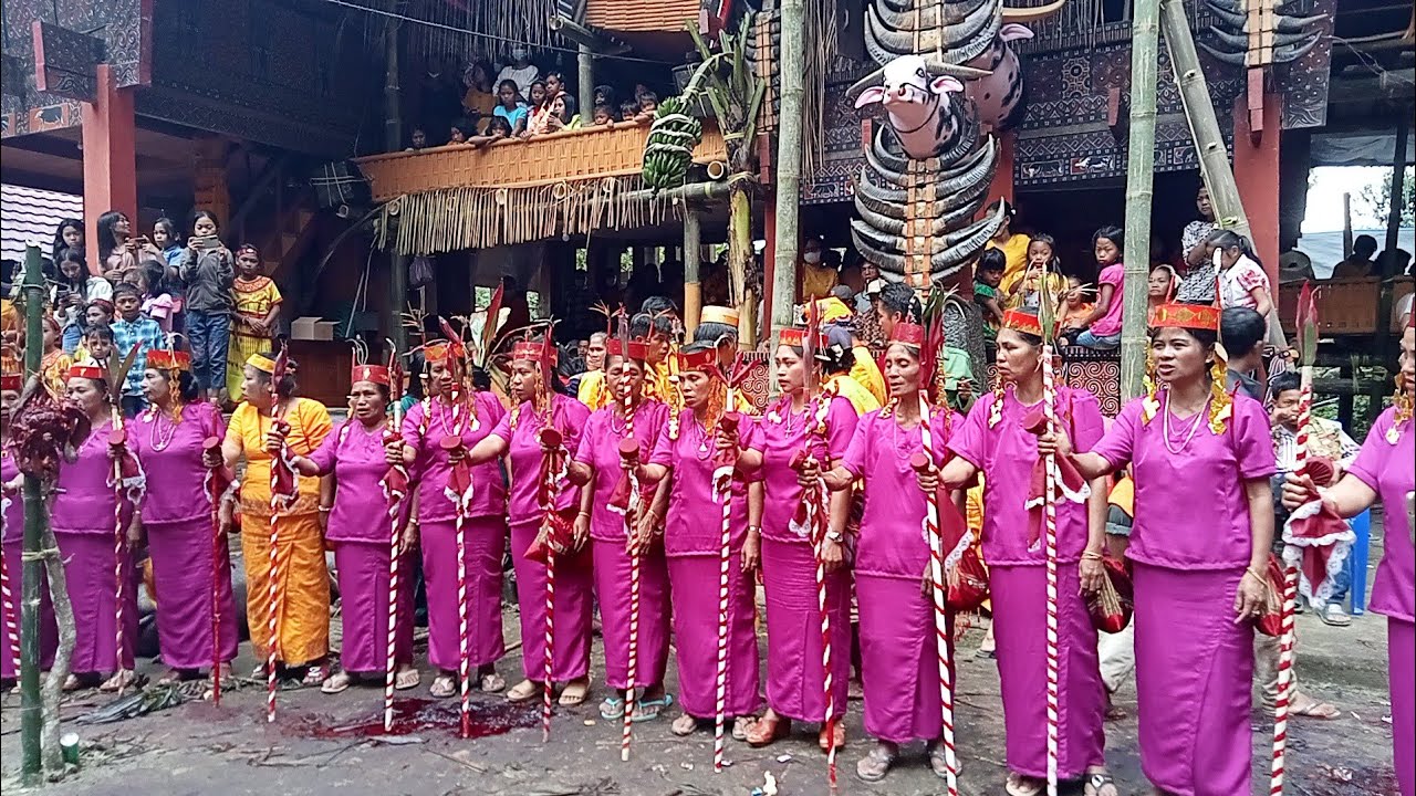 Tarian Ma'Dandan||Ma'Bua' Di Sarambu buntu Pepasan||Toraja culture # ...