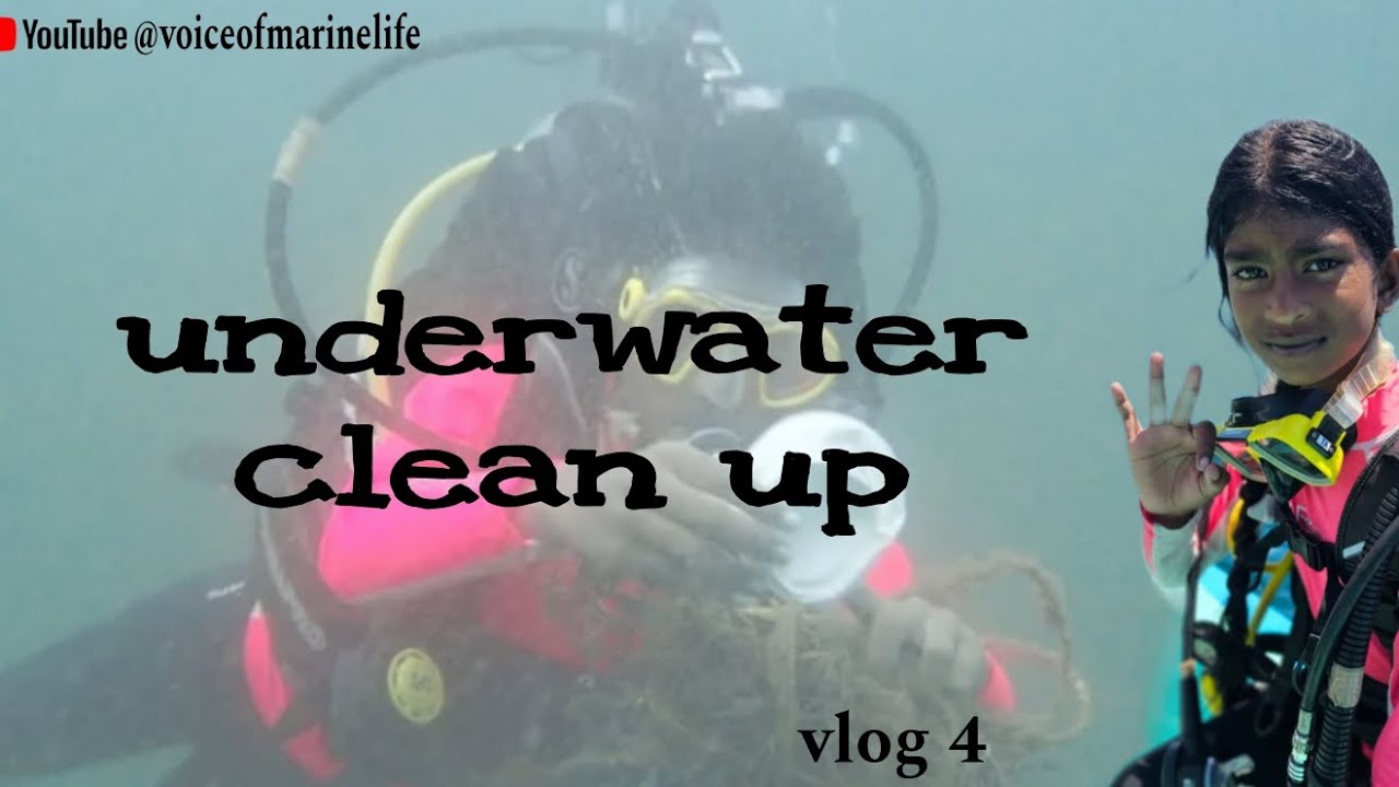 underwater clean up #marineenvironment #oceancleanup 🐬♥️ - YouTube