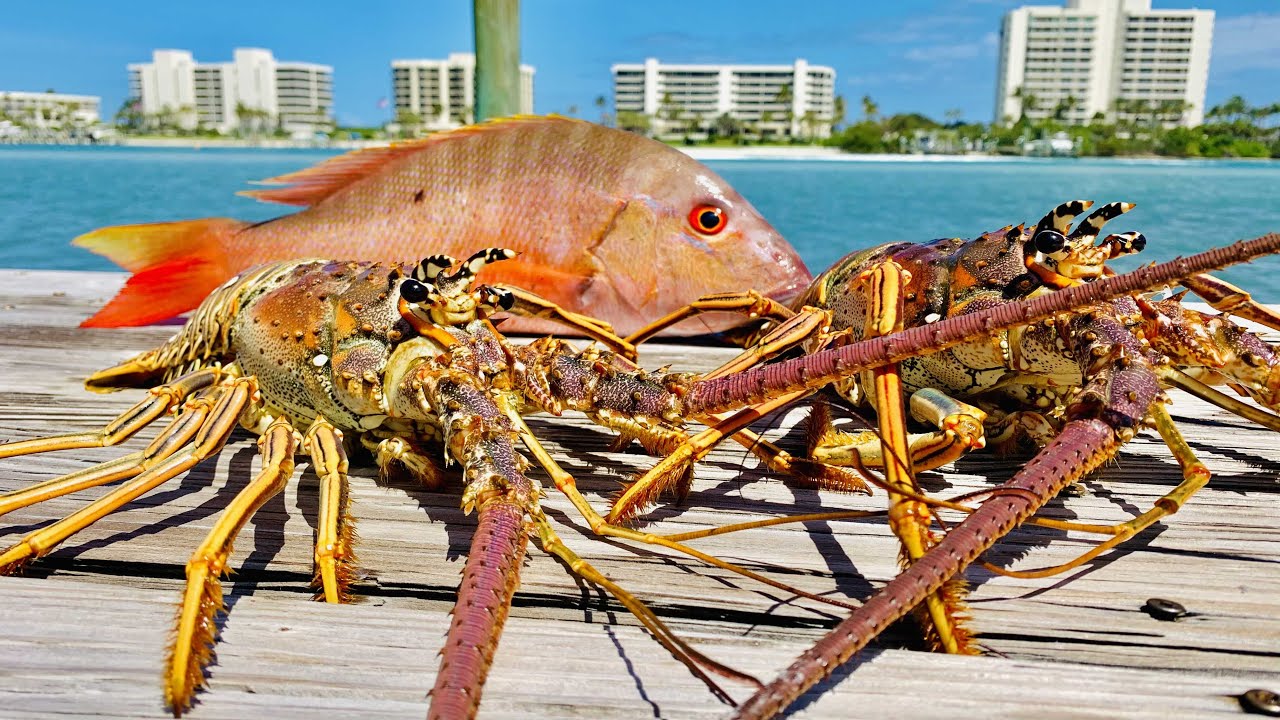 How to Catch Clean & Cook your own food in the WILD! - YouTube