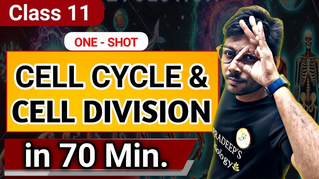 CELL CYCLE AND CELL DIVISION CLASS 11 ONE SHOT | CELL DIVISION ...