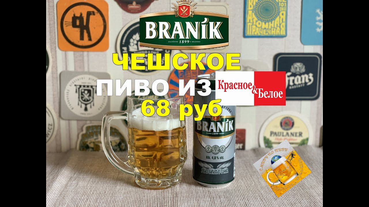 Чешское пиво "Branik" из Красного и Белого за 68 рублей! - YouTube