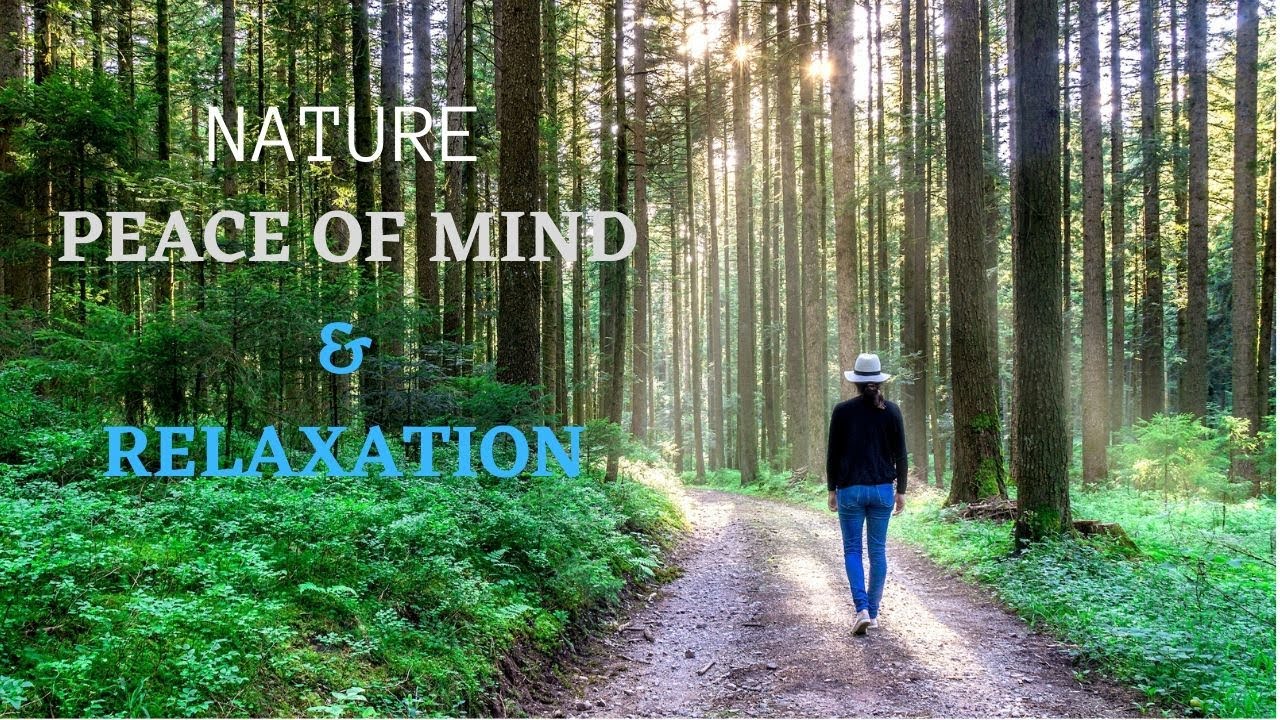 Beautiful Nature | Peace and Relaxation | Love it 😊 - YouTube