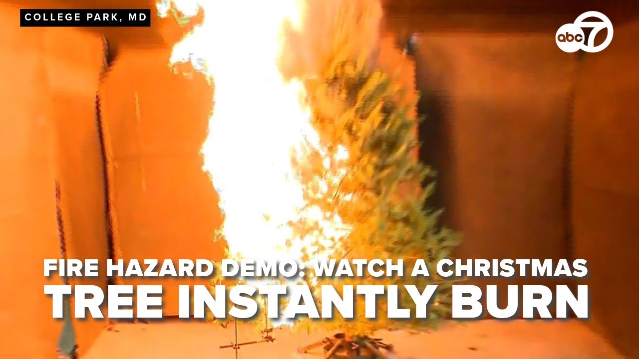 Demonstration of the fire hazard a dry Christmas tree represents - YouTube