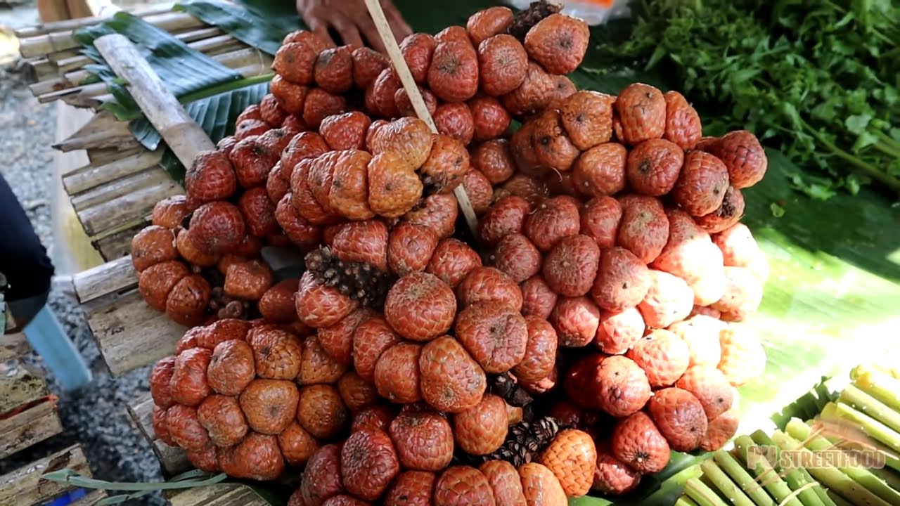 Wild Fruit Juice (Eleiodoxa Conferta) // PU STREET FOOD 🌱🌴🍃 - YouTube