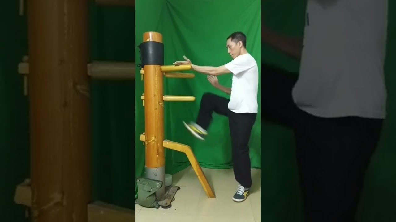 Ip Man Wing Chun Dummy Section 7 - YouTube