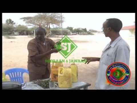 SOORAAN IYO JAWAAN RIWAYADI ARXAN DARADA 4aad 2016 - YouTube