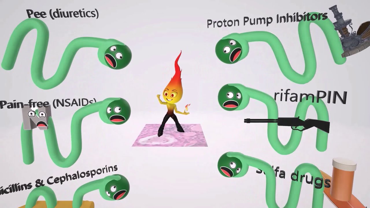 Acute Interstitial Nephritis (Mnemonic for the USMLE) - YouTube