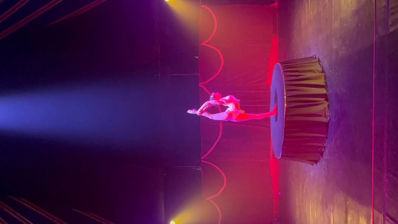Rosa Lisa Contortion "20s" act at Varteté Zirkus Mond - YouTube