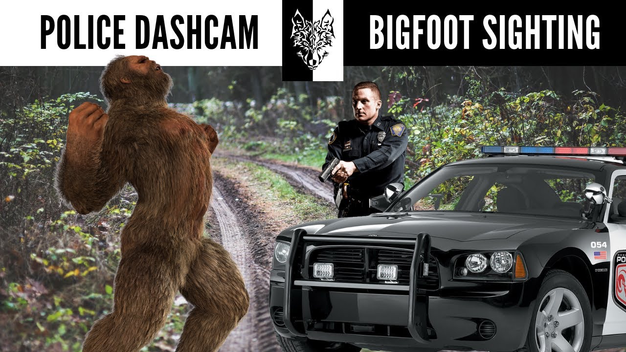 Police Dashcam Bigfoot Sighting - YouTube