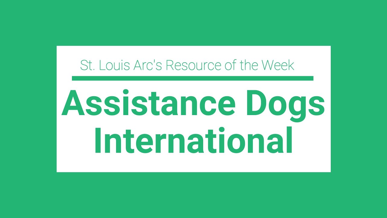 Assistance Dogs International - YouTube