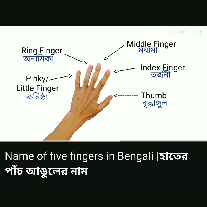 All five fingers name! #shorts #fingerstyle #vocabulary - YouTube