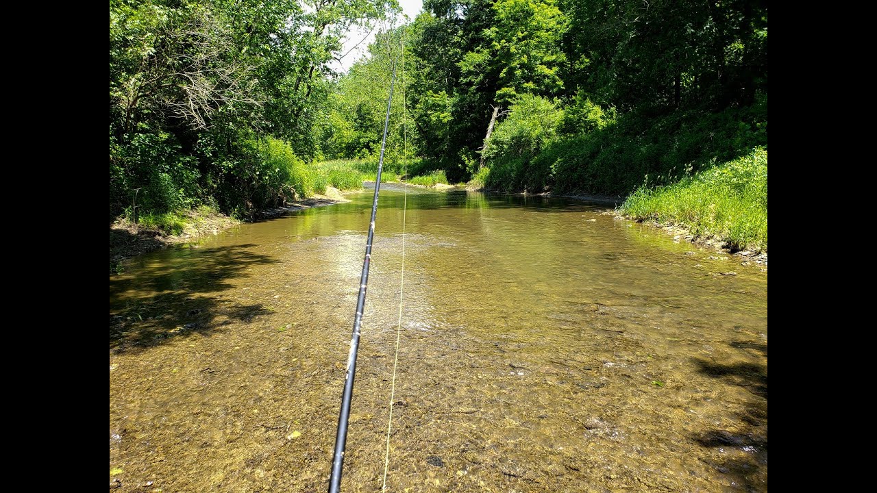 Huilin's hiking and fishing adventure at Jubilee College State Park ...