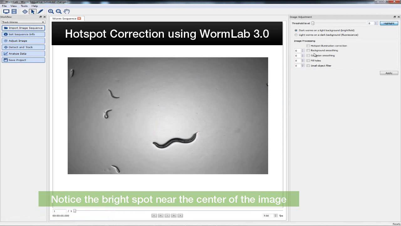 WormLab 3.: How to use Hotspot Correction - YouTube
