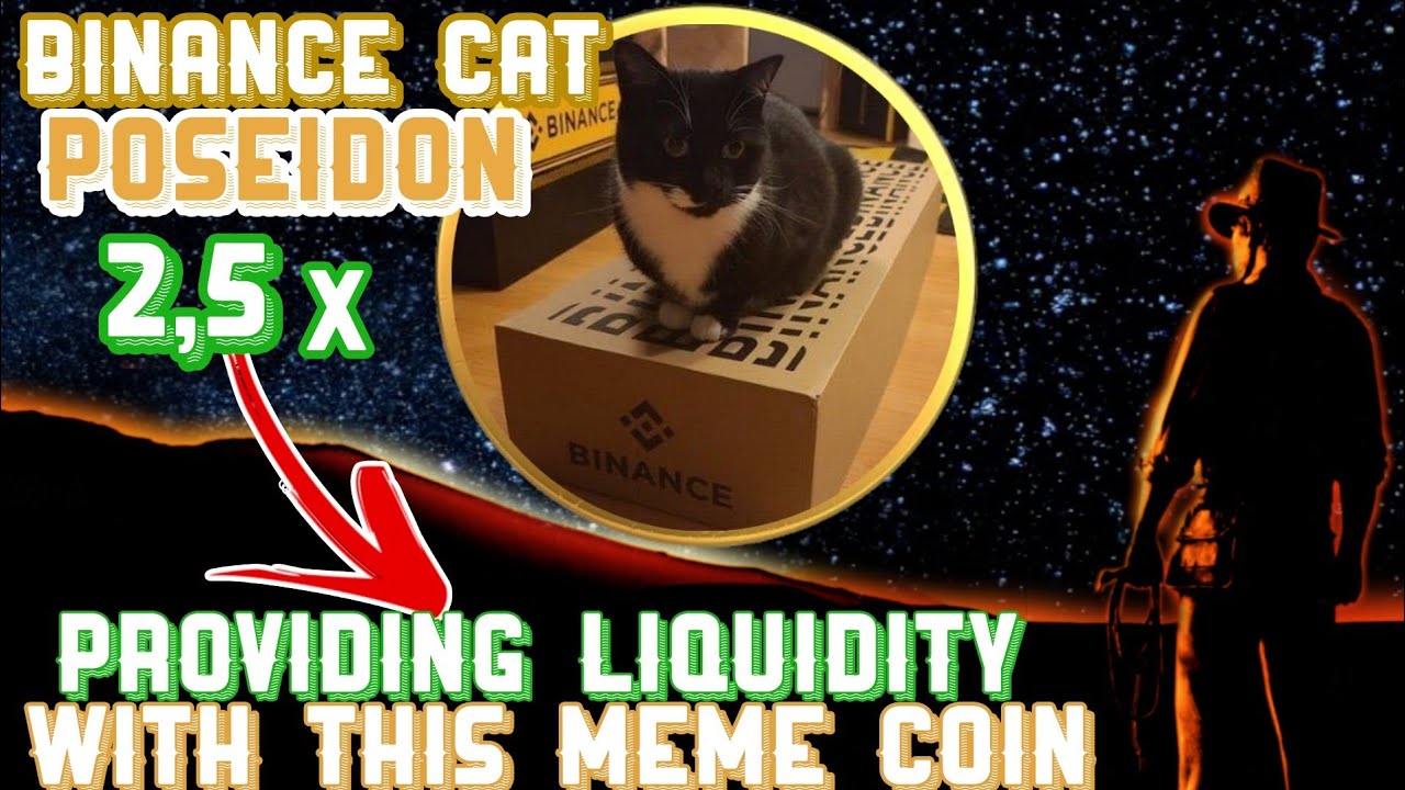How I made 2.5x on a meme coin liquidity pool (POSEIDON Binance cat ...