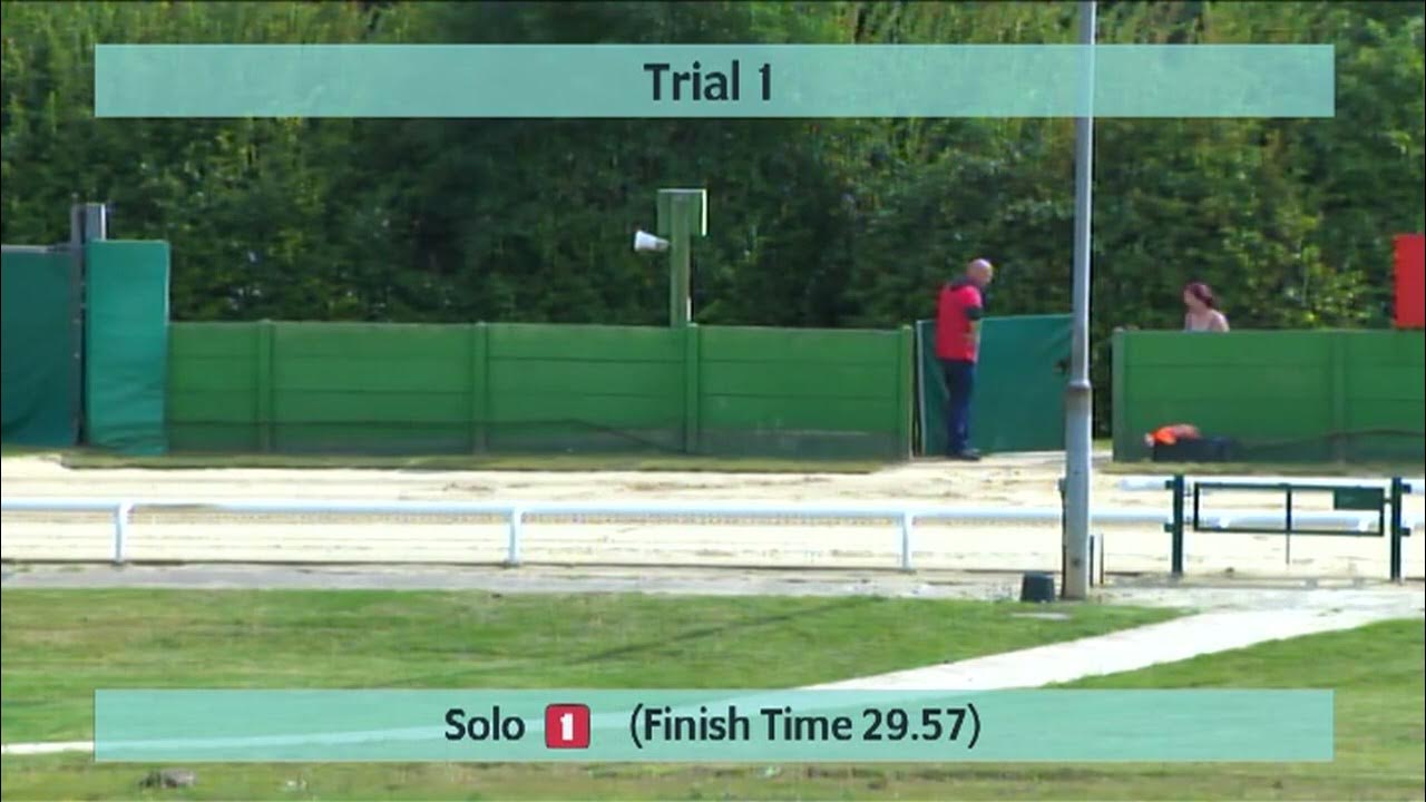 Monmore Greyhounds Trials on 17th August 2024 - YouTube Monmore Greyhounds Trials on 17th August 2024 - YouTube