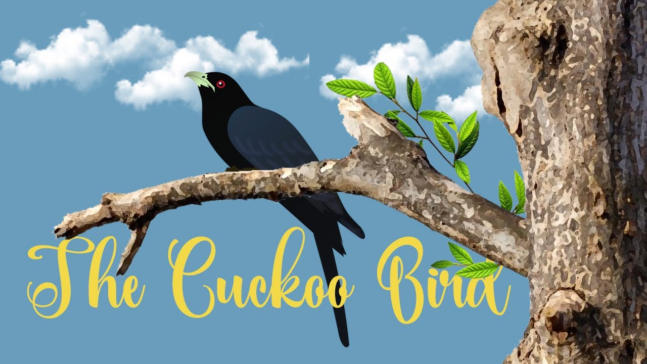 How to Value Our Gifts - The Story of the Cuckoo | Motivational Story ...