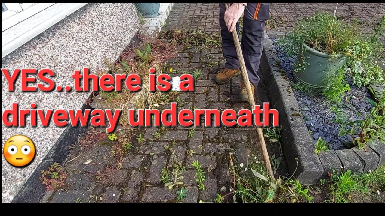 Overgrown driveway..Not sure whether to clean it or mow it - YouTube
