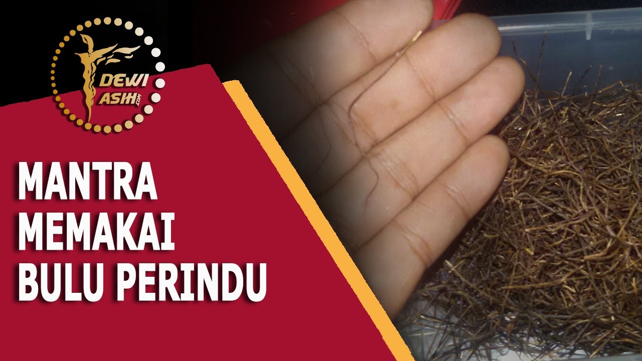 Mantra Bulu Perindu | Cara Menggunakan Bulu Perindu Tanpa Mantra - YouTube