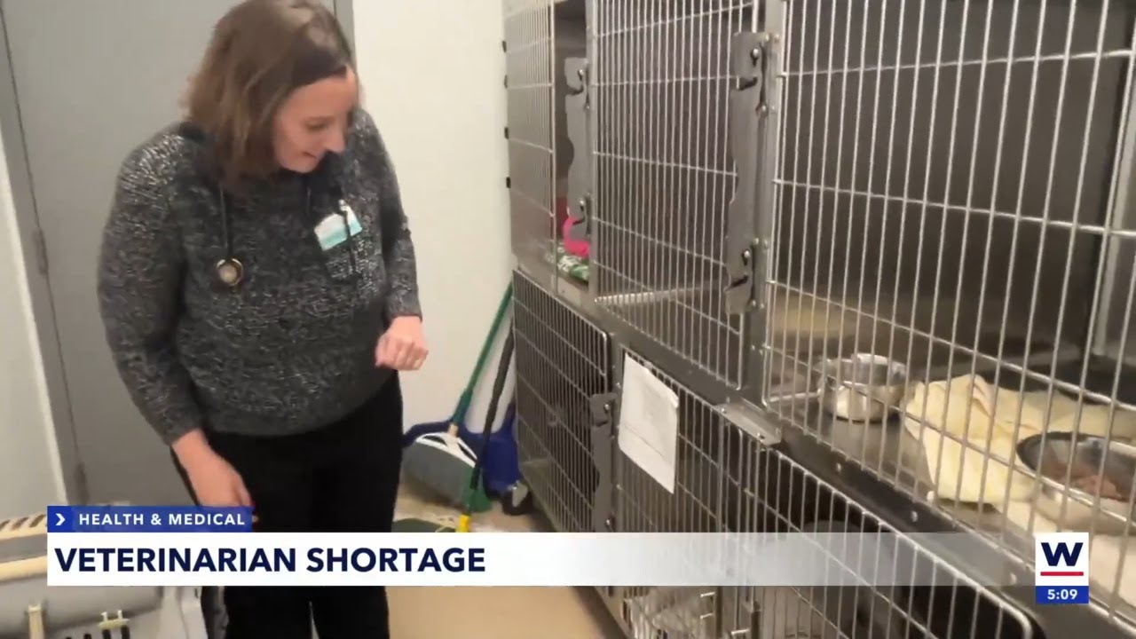 Veterinarian shortage causes concern for SWFL pet owners - YouTube